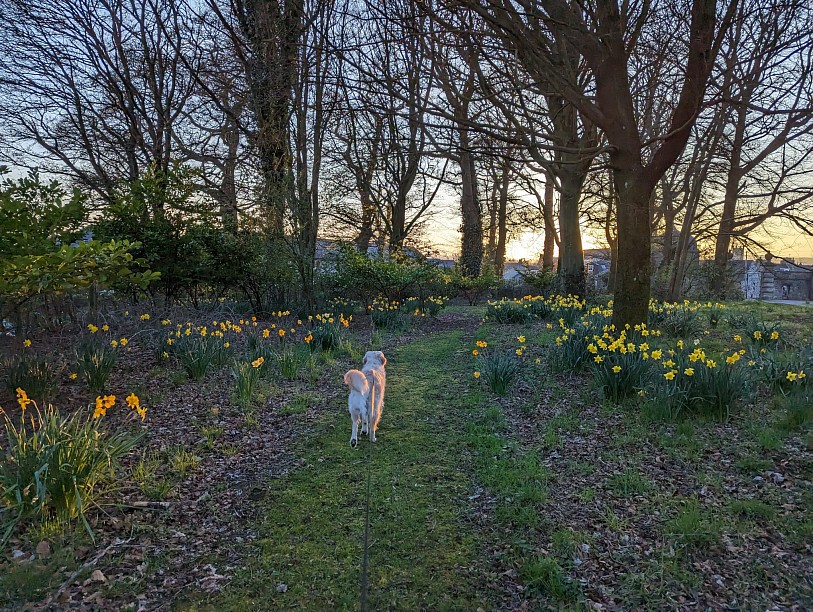 Head Gardener's Blog | Kinross House Estate