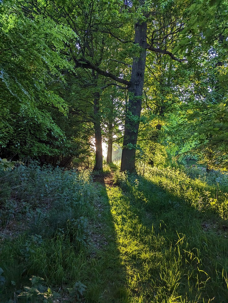 Head Gardener's Blog | Kinross House Estate